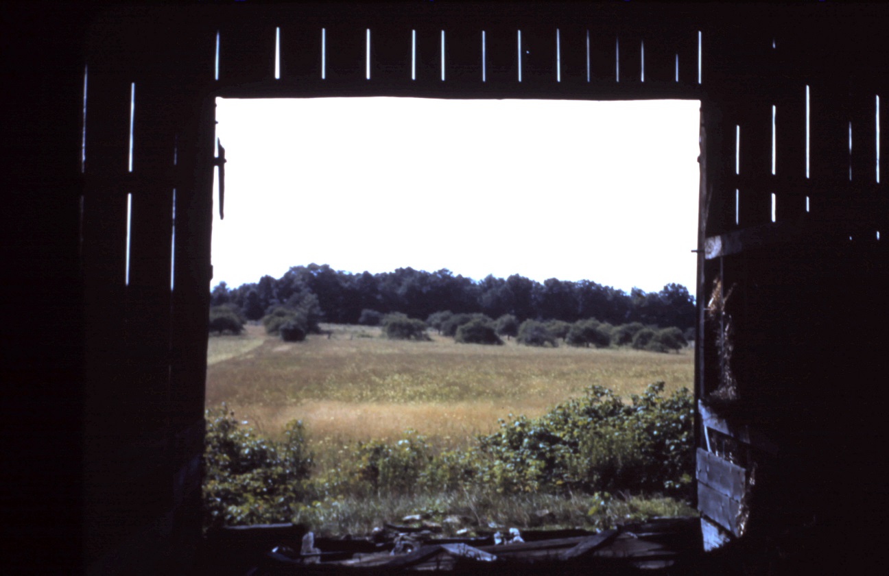 Biography - Alfred Watson Gallery