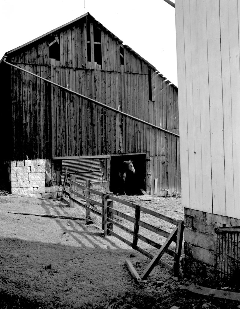 Waiting - Alfred Watson Gallery